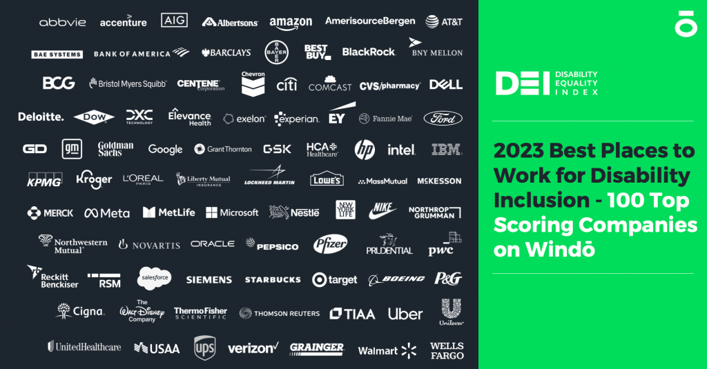 Disability Equality Index 2023 - Windō